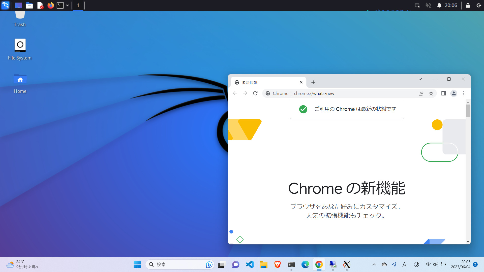 Win-KexのSLが動かない【Kali Linux】｜Graffiti-Life